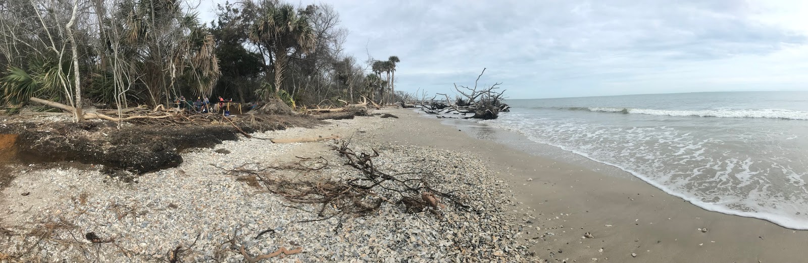 Notes from the Field: Erosion at Pockoy Shell Rings, SC