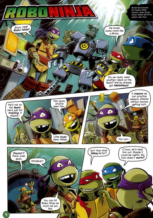 TMNT Entity: Robo Ninja