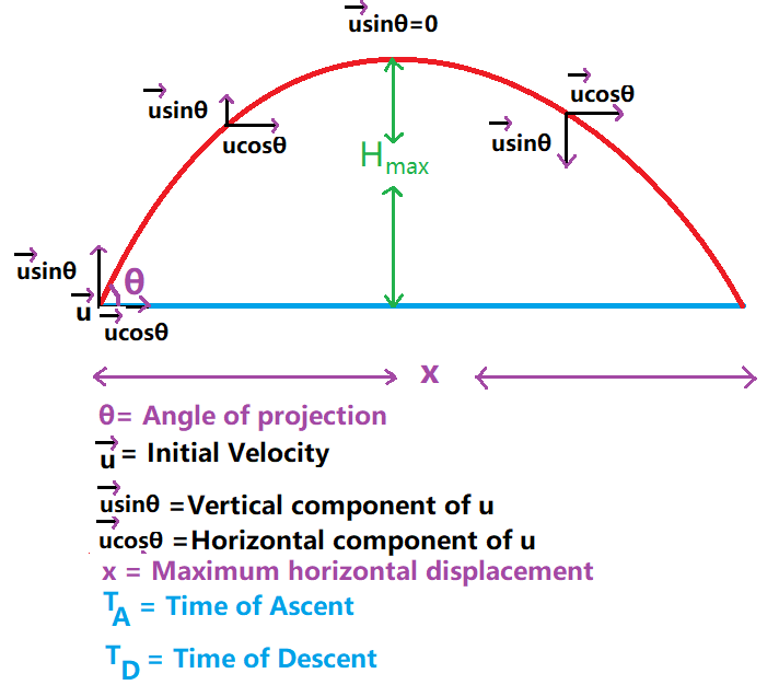 Projectile motion ~ Physics Padhai