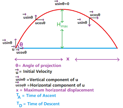 Projectile motion ~ Physics Padhai