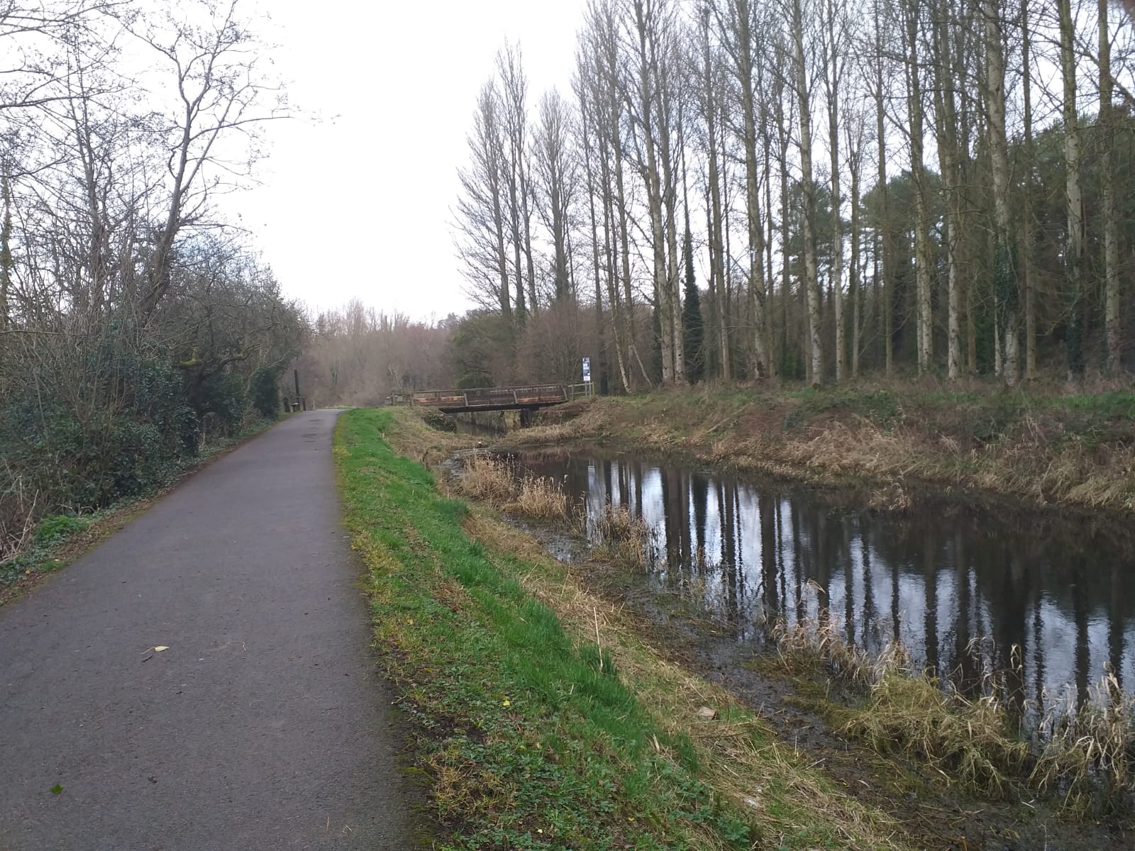 Boz North's Trail - Walking Blog: Lagan Towpath - Lisburn to Belfast ...