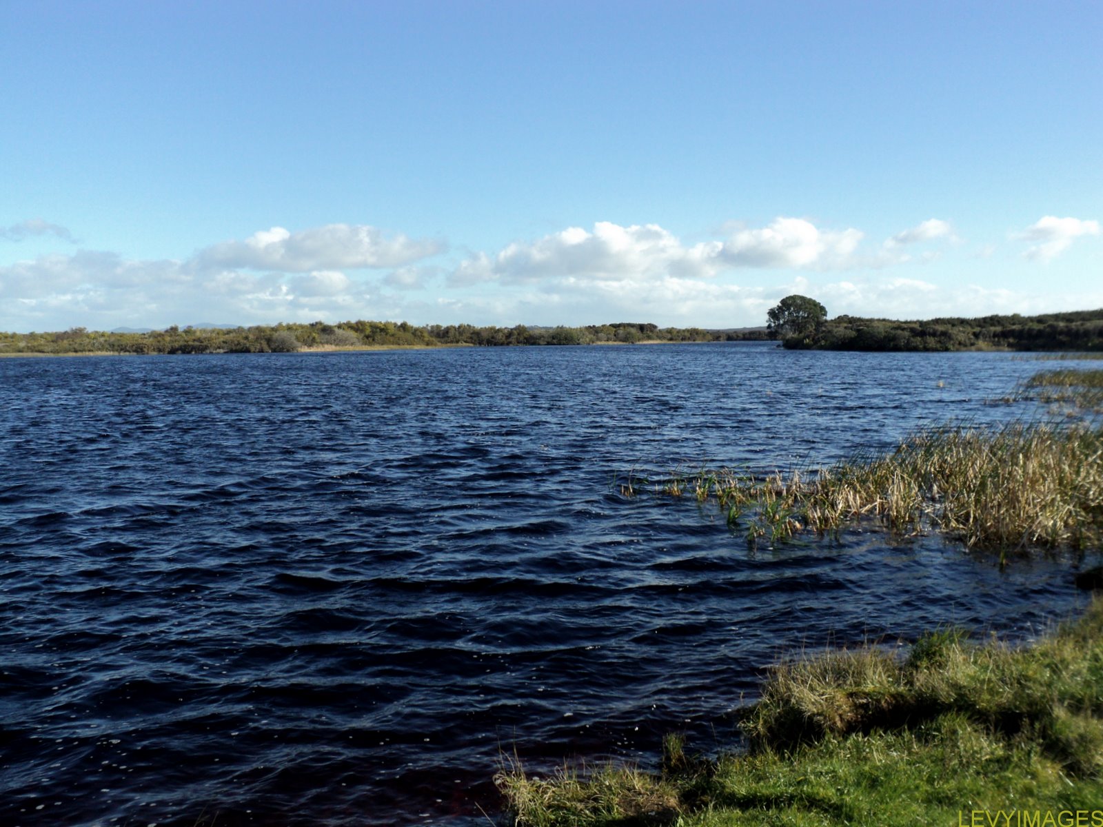 The Flying Tortoise: Coca Cola Lake...