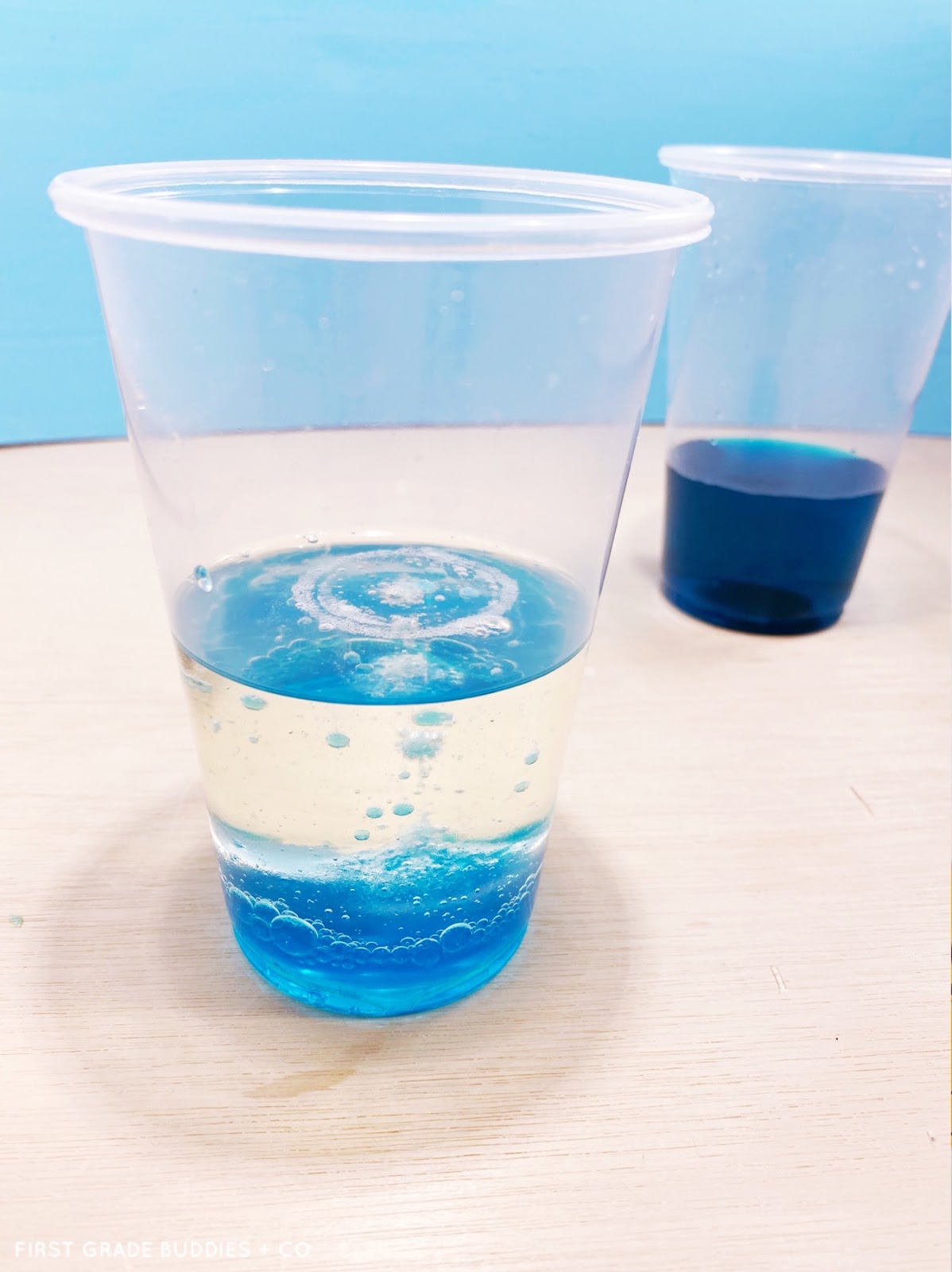 Simple Science: Colorful Lava Lamps | First Grade Buddies