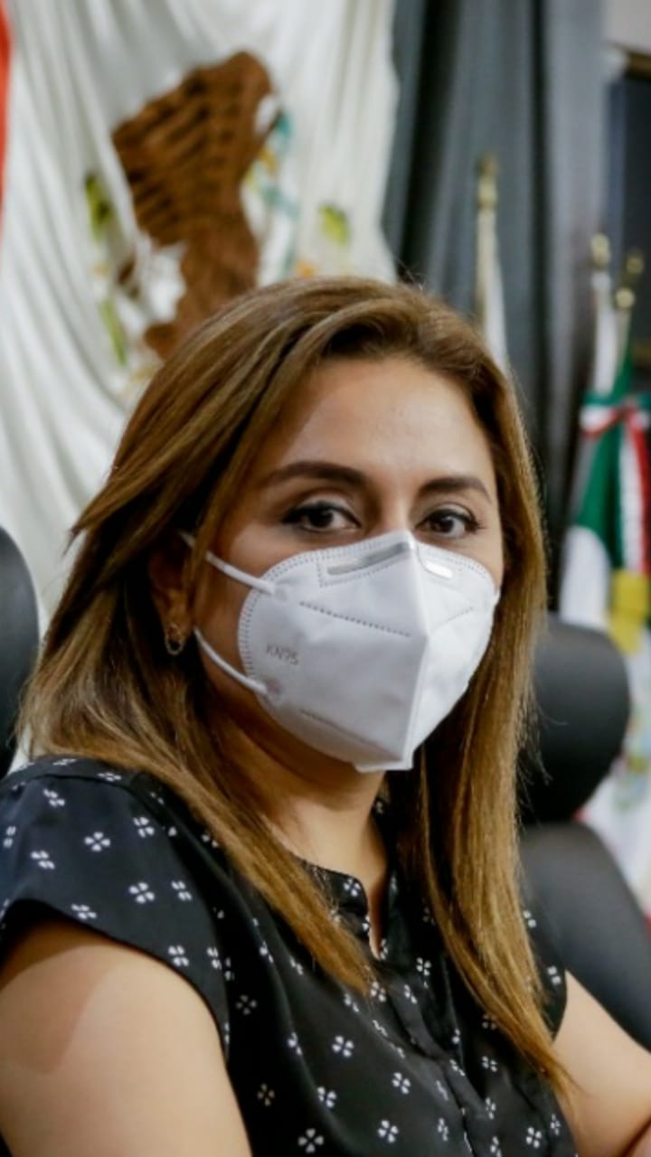 SOLICITA DIPUTADA DIANA PLATT ATENCIÓN A LOS COMERCIANTES TIANGUEROS DE ...