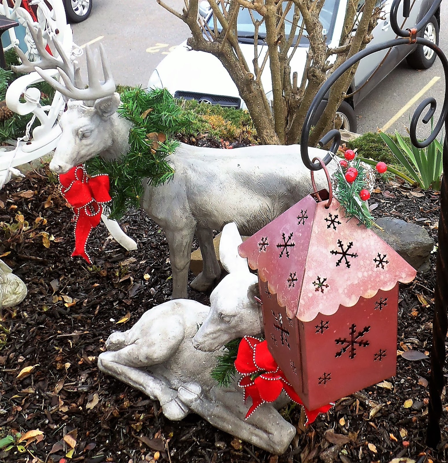 A DEBBIE-DABBLE CHRISTMAS: Christmas Front Yard and 1st Snow of the ...