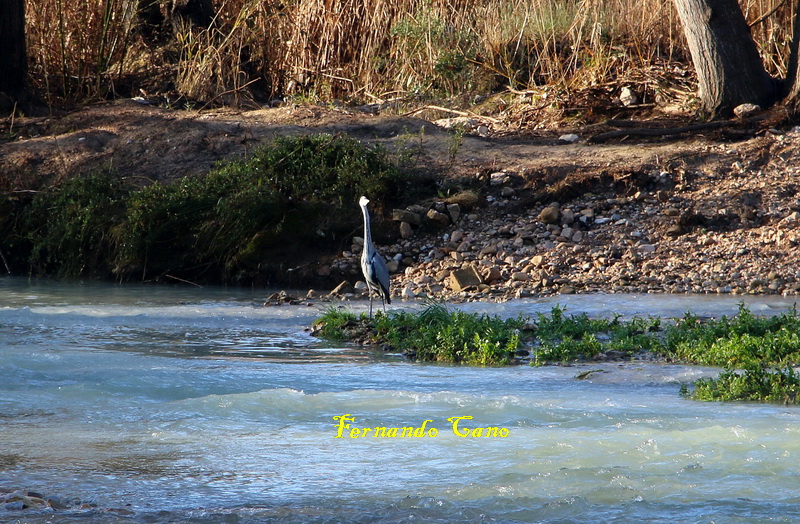 Mogón: SENDEROS DE MOGÓN