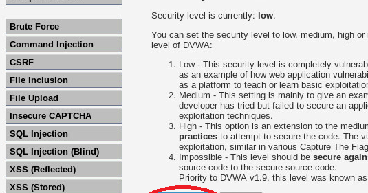 DVWA Command Injection (low level) - THU DINH