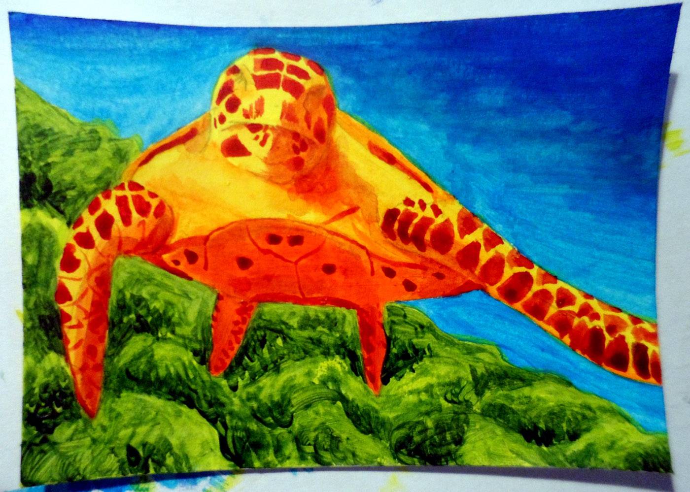 Katie Hone Artist and Designer: How to Make a Grumpy Turtle