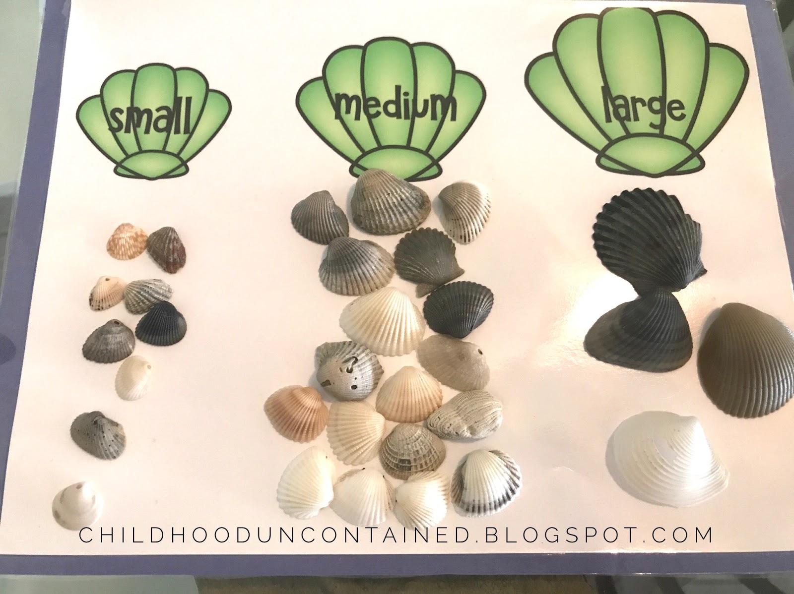 Childhood Uncontained: Sea Shell Sorting