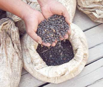 Electronics: General properties of tin (Sn)