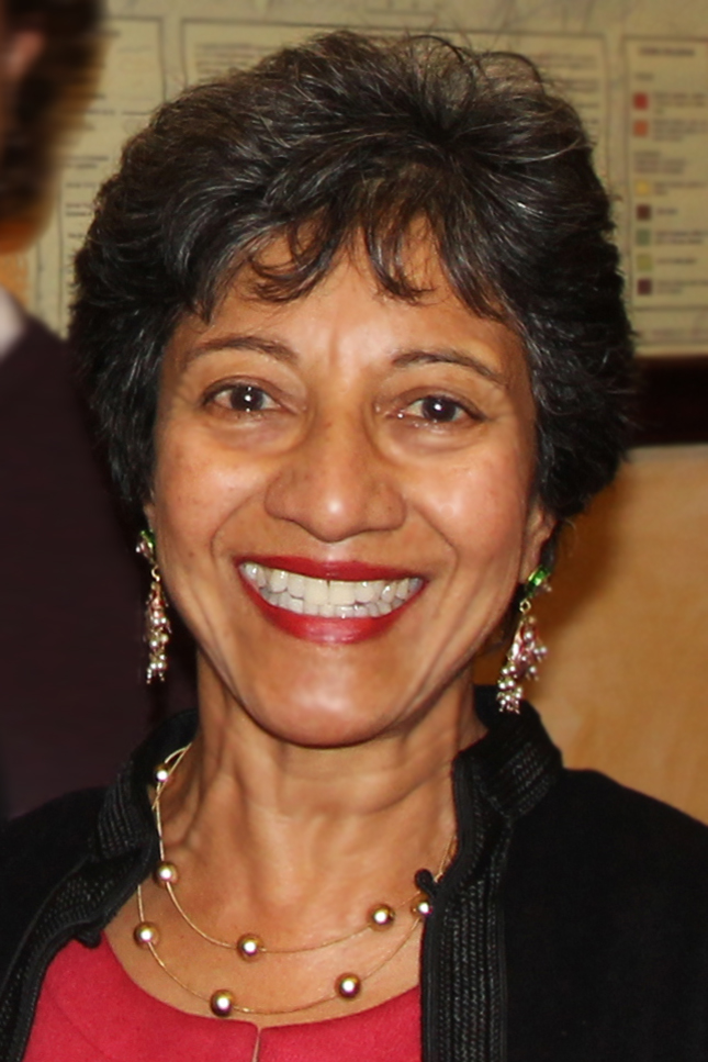 The Canadian Club of RomeLe club canadien de Rome: Our Executive