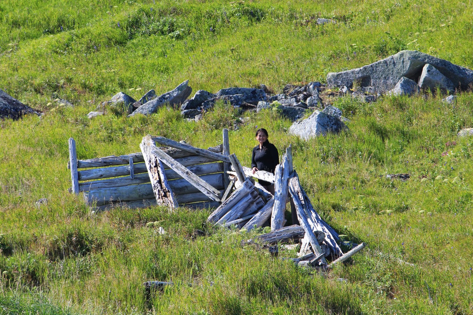 Nome, Alaska: Sledge Island -Trip 2