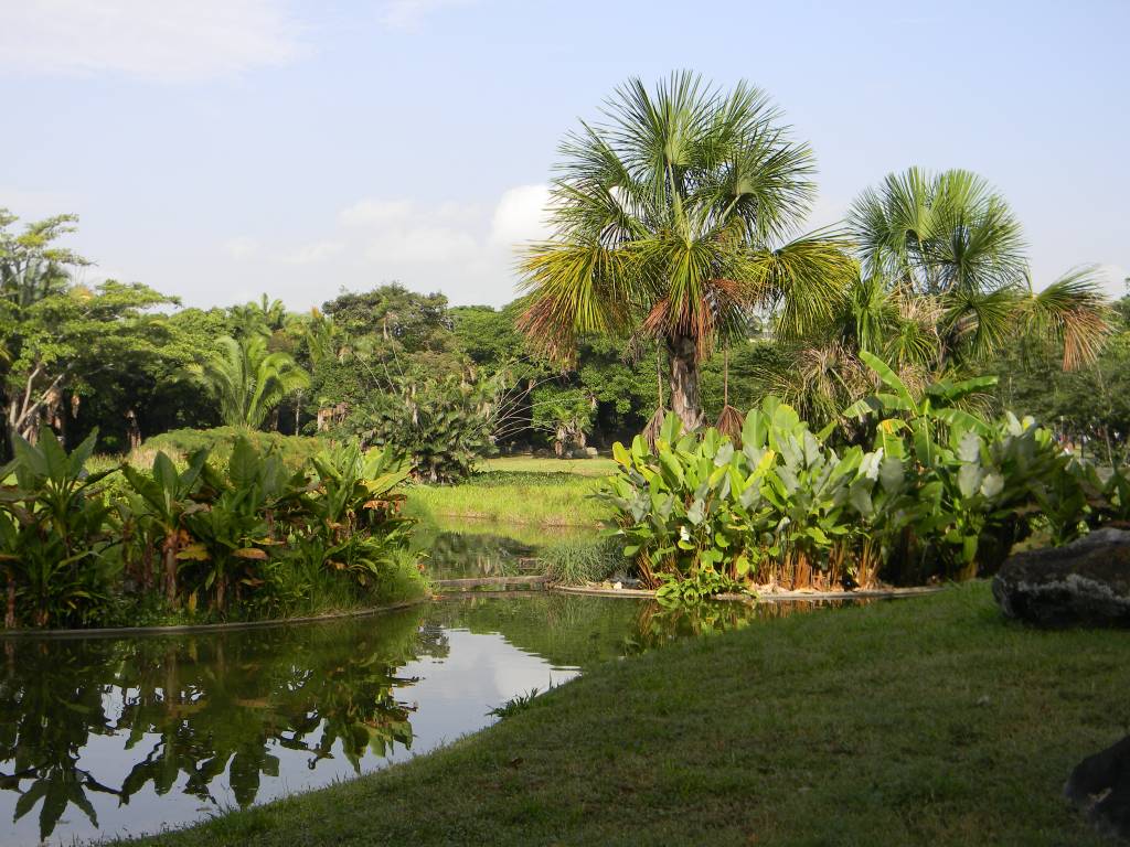 RW PAISAGISMO: PARQUE URBANO: PARQUE DEL ESTE BY ROBERTO BURLE MARX ...