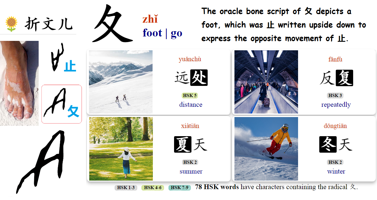 每日中文 Daily Zhongwen: 【Part 1】 № 1 - 21 Chinese Radicals 汉字部首: 手, 爪, 足, 走