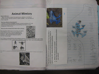 Sweet Teach: Science Notebooking: Animal Adaptations