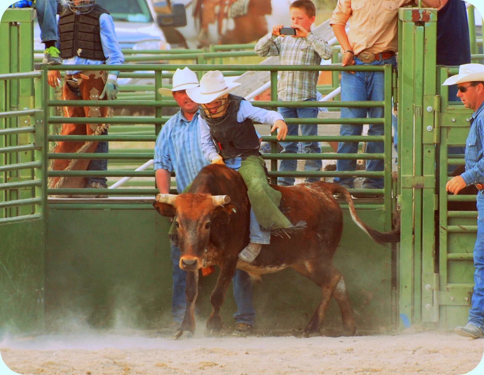 Life & Lessons from a country road