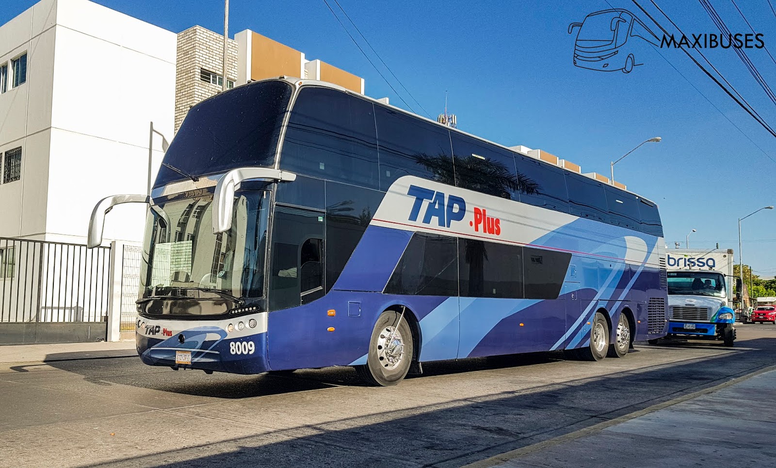MAXIBUSES: TRANSPORTES Y AUTOBUSES DEL PACÍFICO, PLUS (TAP)