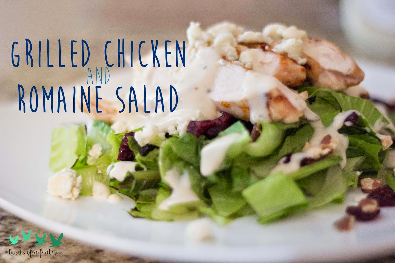 Grilled Chicken and Romaine Salad | The Weathered Palate