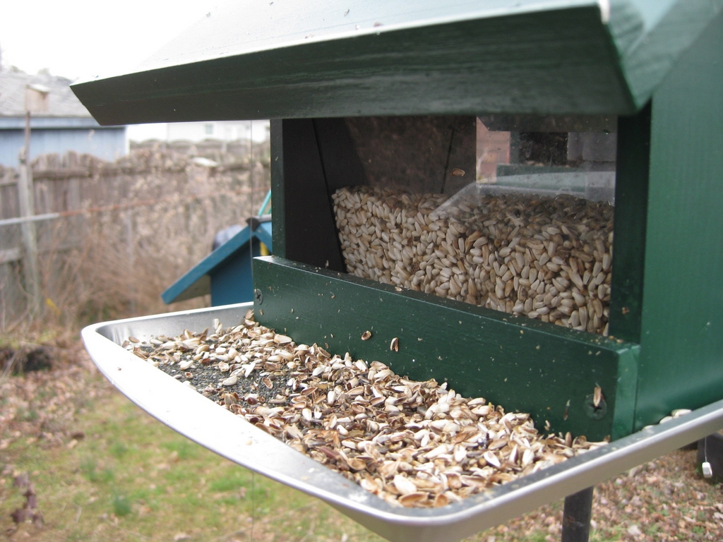 Magic Halo For Bird Feeders: Hopper-Tray Combo Helps Eliminate Seed Waste