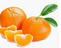 Anim Agro Technology: JENIS-JENIS LIMAU MANDARIN (Part 2)