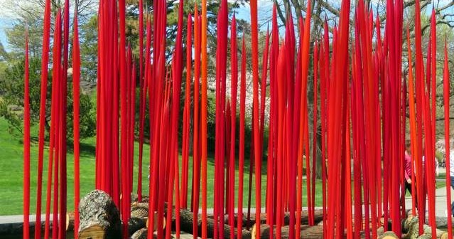 Photo a Day: Chihuly Red Reeds on Logs