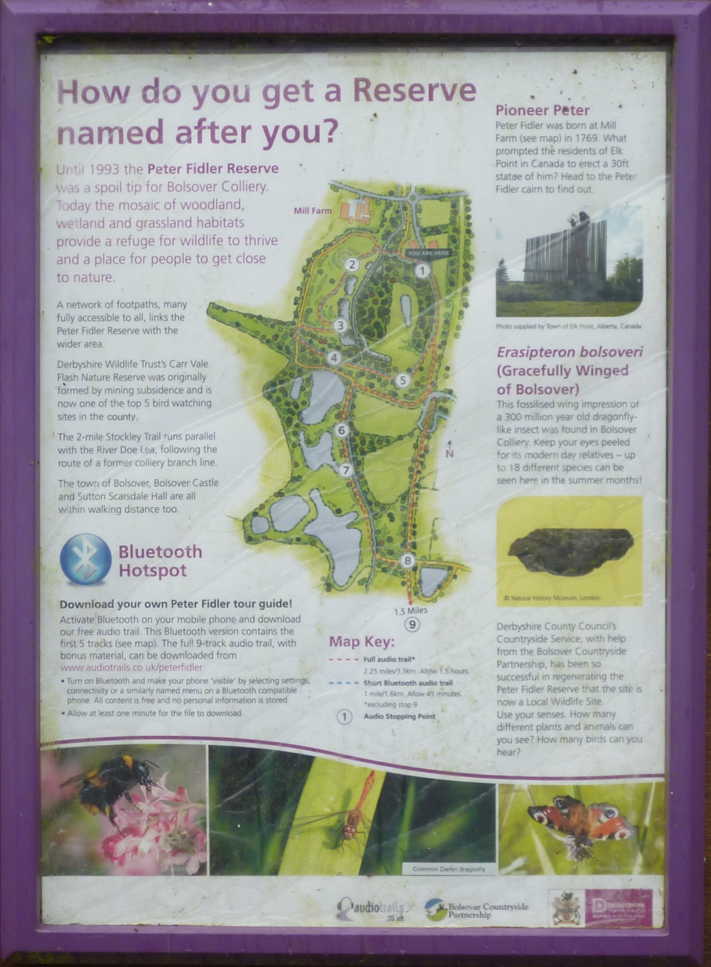 Vale of Belvoir Ramblers: Bolsover and Sutton Scarsdale Hall, 15th ...