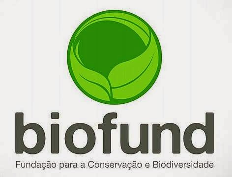 Jornalismo Integral: Maio 2015