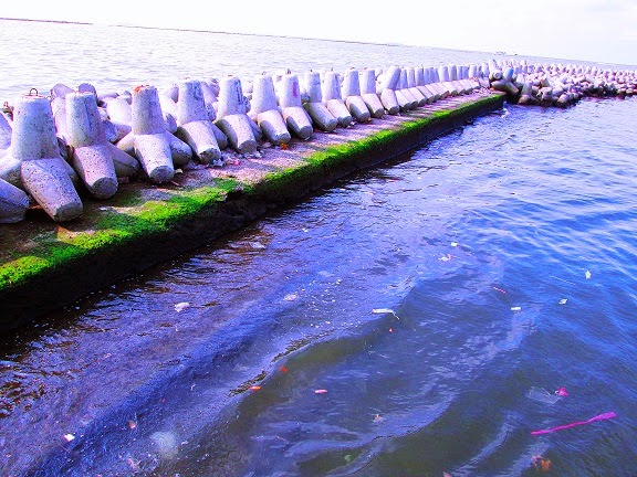 travelplusindonesia: Giant Sea Wall di Teluk Jakarta Bisa Jadi Obyek Wisata