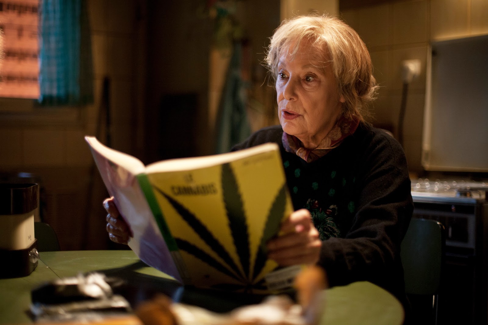 Andiamo al cinema: Paulette di Jérôme Enrico
