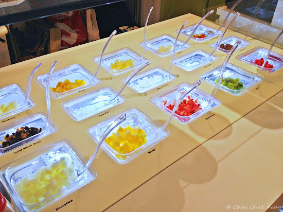 YogurBerry - The Healthy Frozen Yogurt