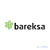 Bareksa Logo vector (.cdr) - BlogoVector