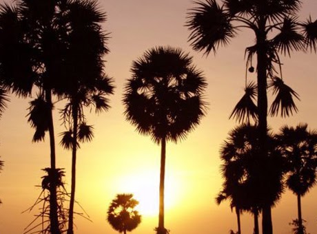 Caste in Jaffna | Sri Lanka Guardian