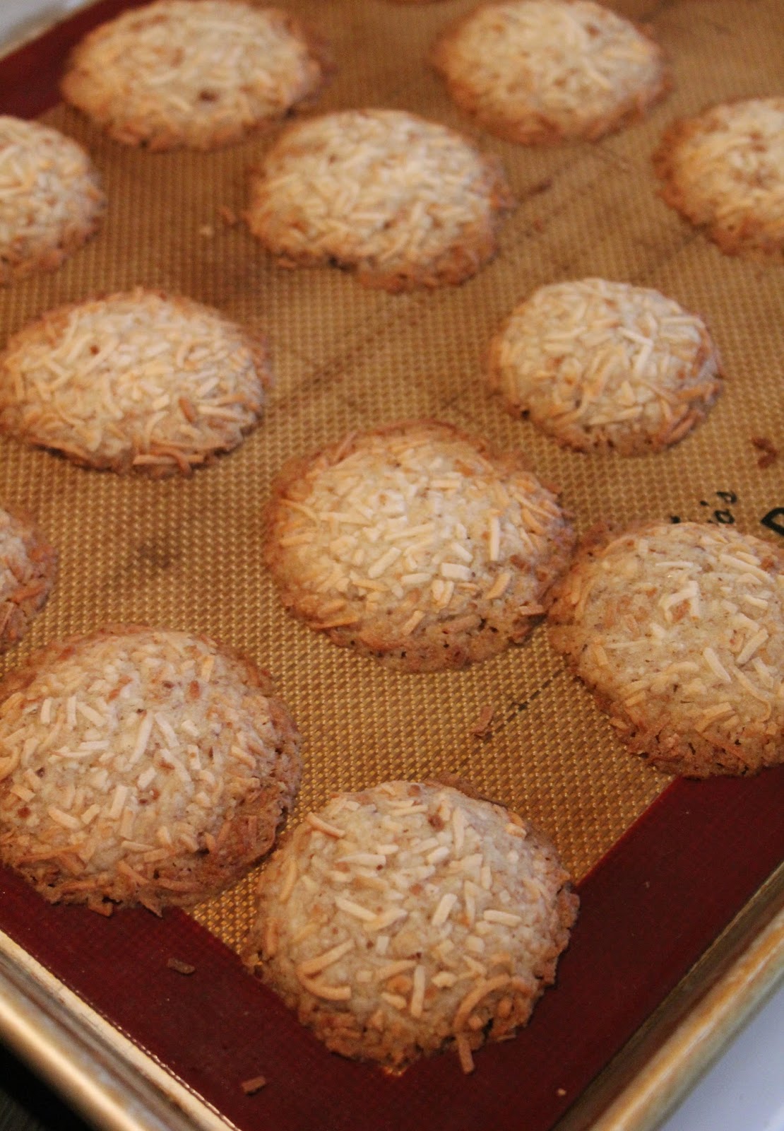 Jo and Sue: Coconut Crisp Cookies