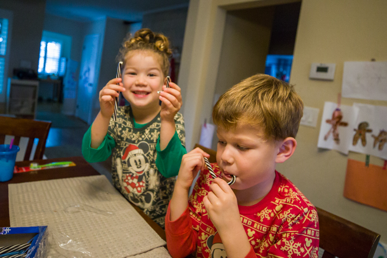 Tales of the Flowers: Oreo Candy Canes