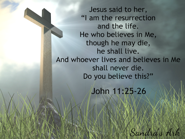 Sandra's Ark: 10 Bible Verses of Encouragement in Times of Bereavement