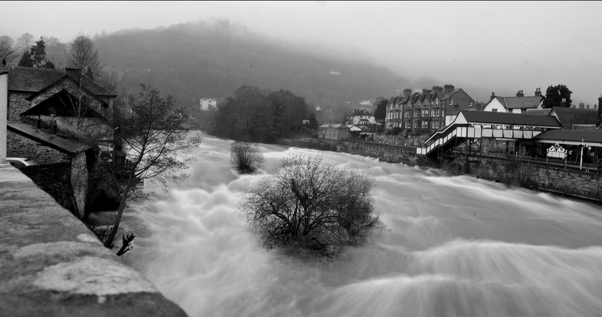 The Plashing Vole: 2020