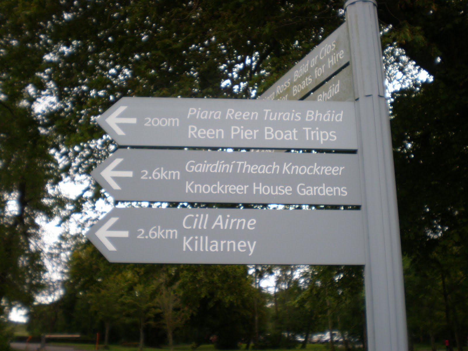 Becoming Irish: Defining What it Means to be Irish