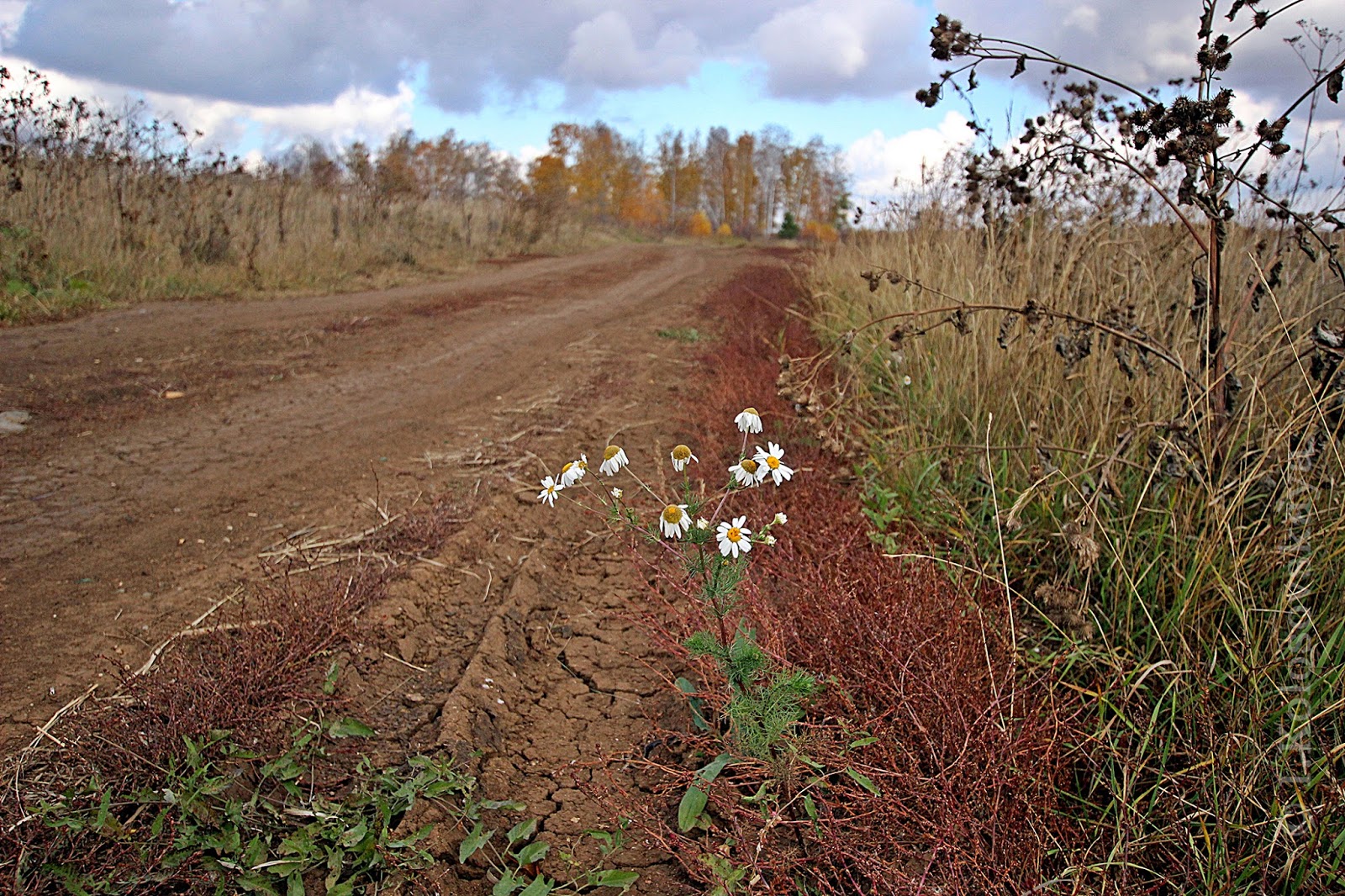 Photo Hacks: Placement of the Horizon in the Composition.