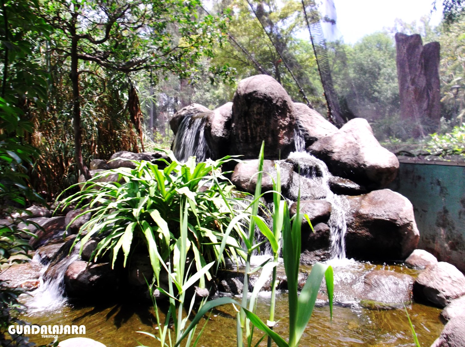 Agencia de Viajes Guadalajara Turística: Parque Agua Azul