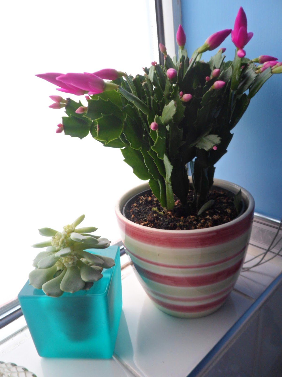 Poppy Patchwork: Tidy and tired