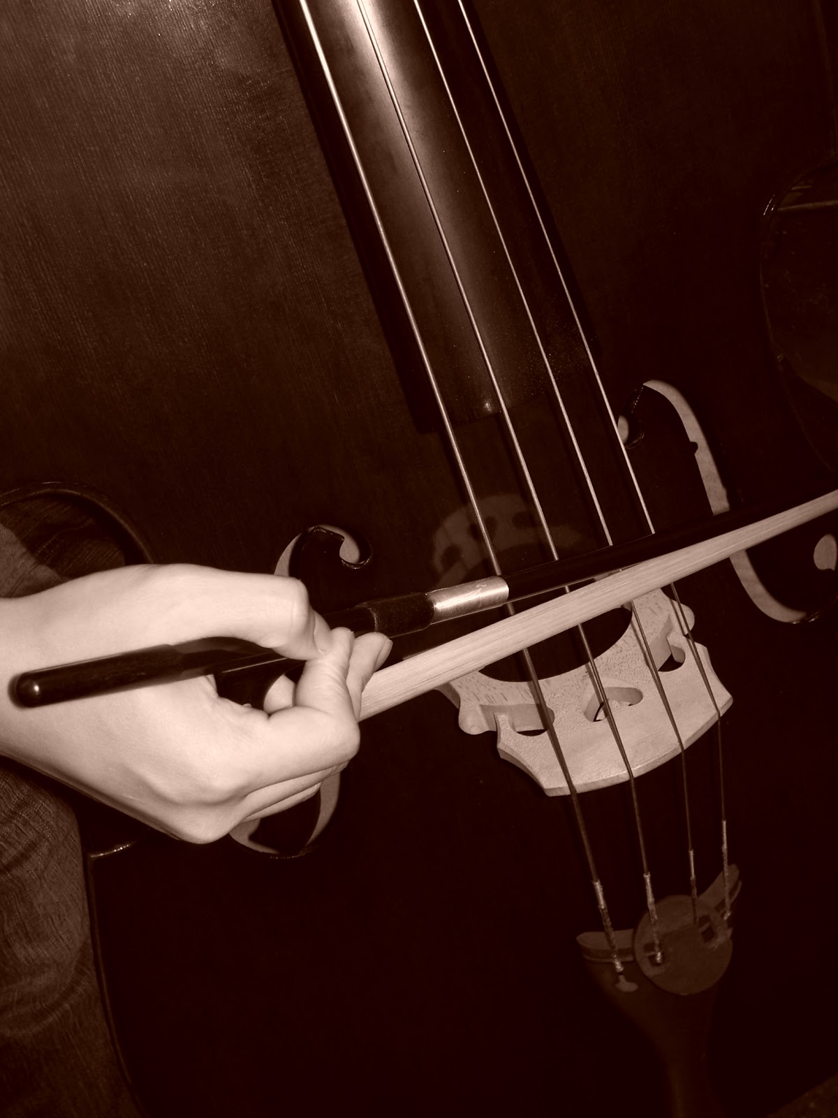 d'Bassists official webhome: Holding the German bow: article by Robert ...