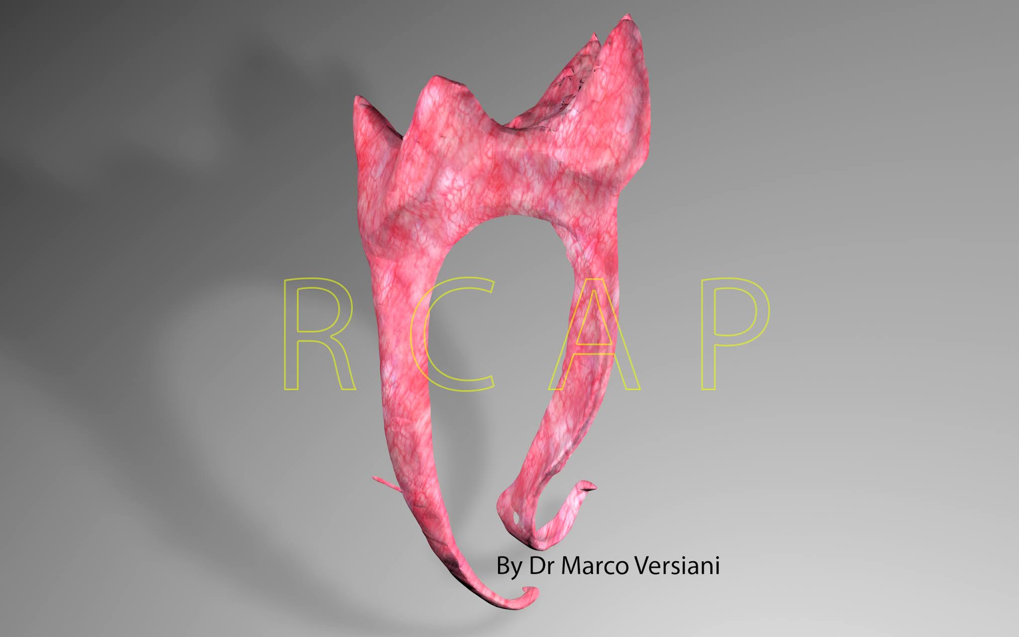 The Root Canal Anatomy Project