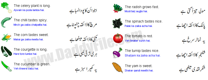 Vegetable Names In English And Urdu