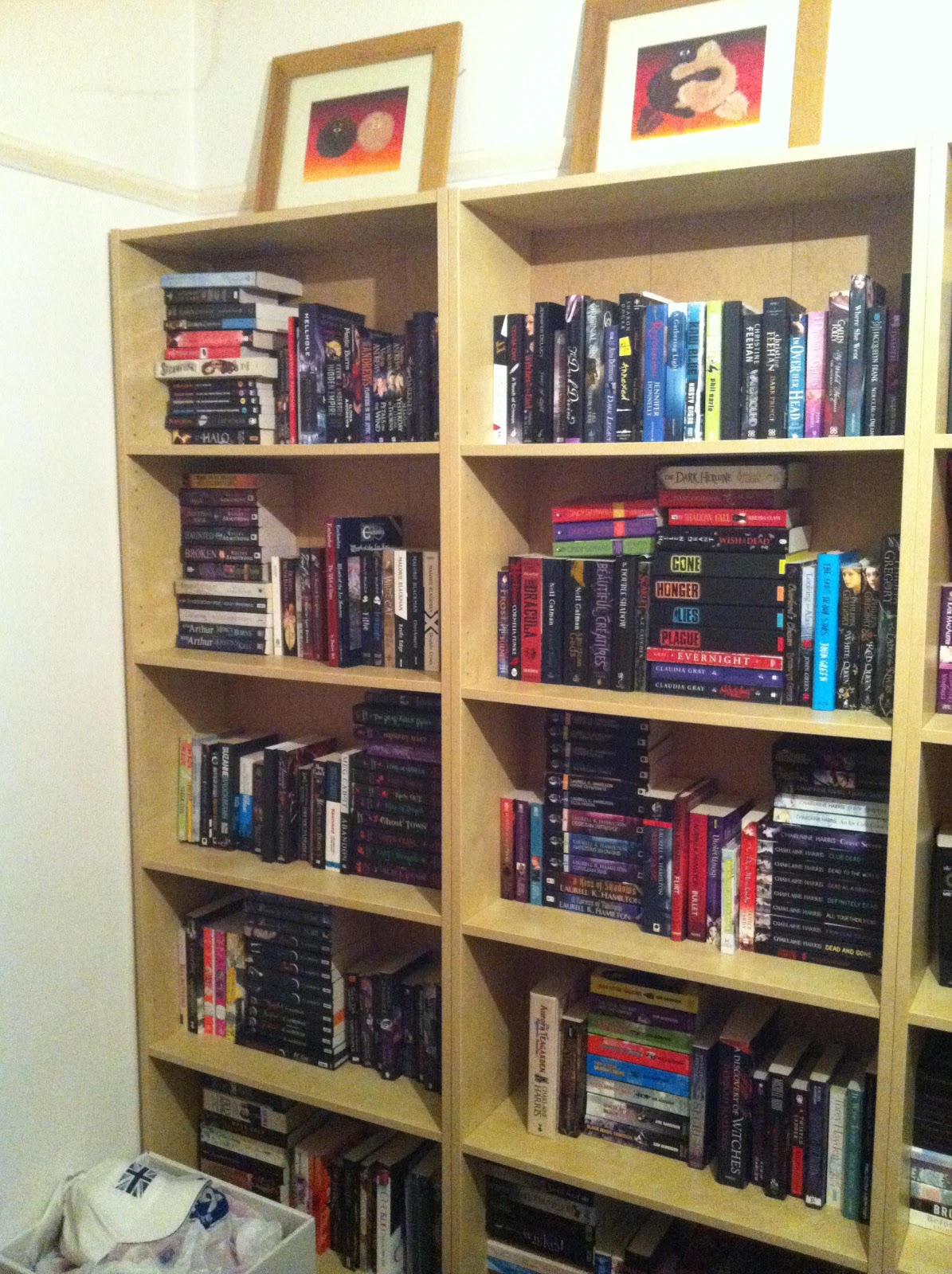 Bookcase Showcase: Blogger Sarah from Feeling Fictional