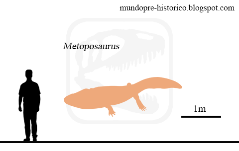 Mundo Pré-Histórico: Metopossauro, um grande anfíbio