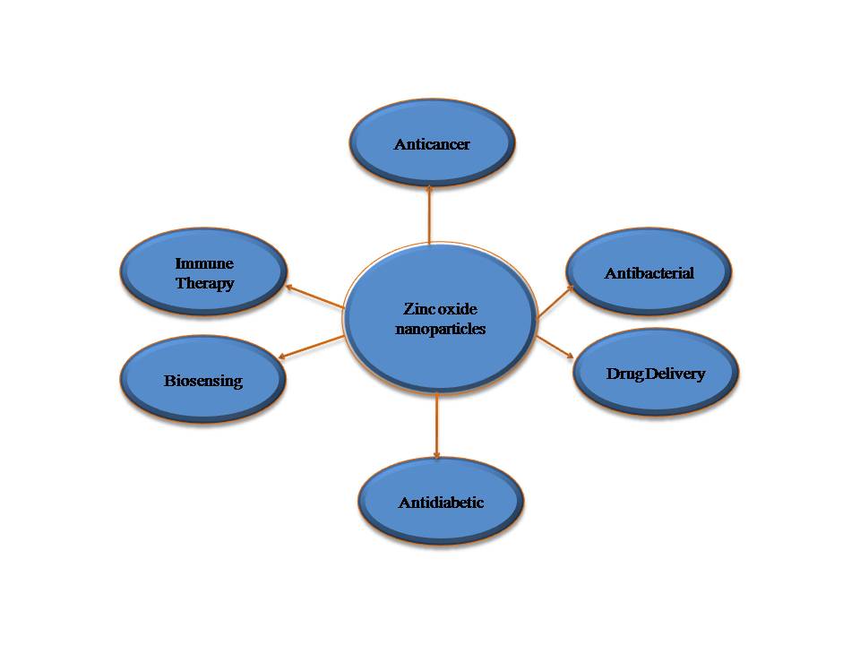 Green Synthesis of Zinc Oxide Nanoparticles and their Applications ...