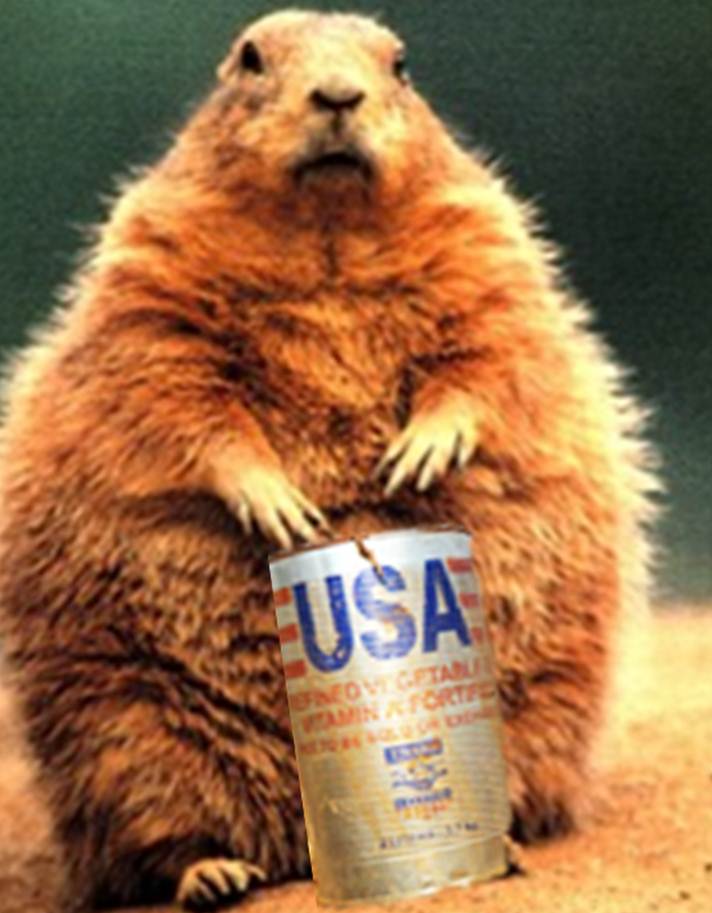 International Agriculture and Development: The End of Groundhog Day ...