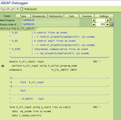 SAP Tips and Tricks: Do you need to execute a transaction you are not ...