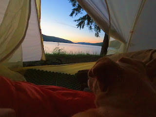 Hiking Allegheny National Forest - [Tracy Ridge Trail System]