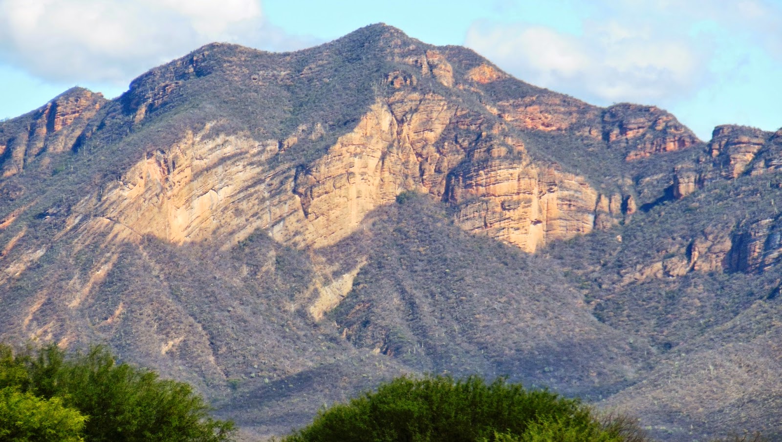 Compartiendo los principios y los valores ambientales de los pueblos ...